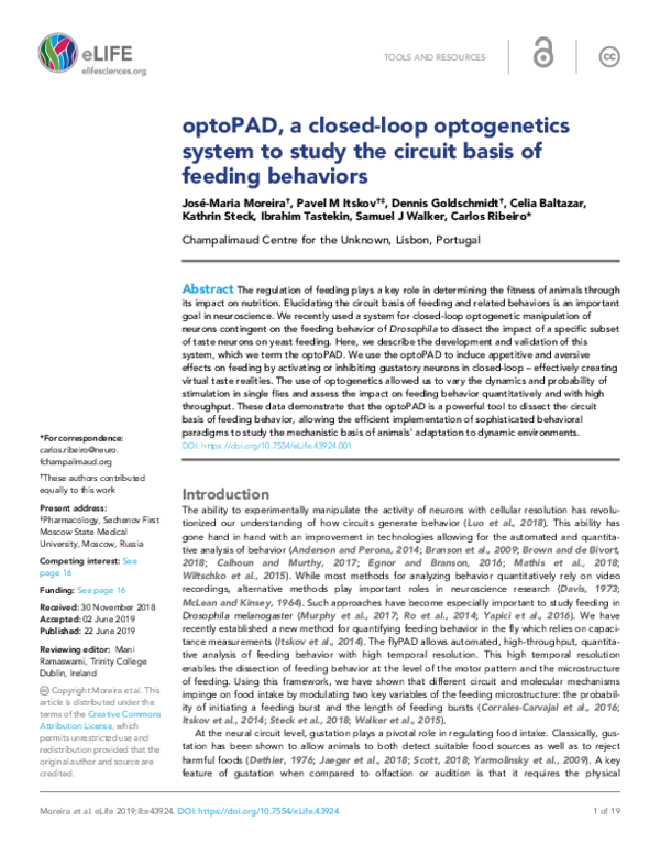 (PDF) optoPAD: a closed-loop optogenetics system to study the circuit ...