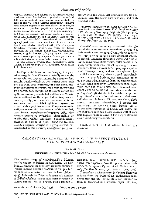 (PDF) Calonectria camelliae sp.nov., the perfect state of ...
