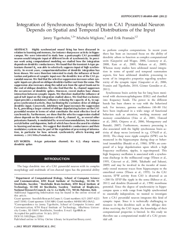 (PDF) Integration of synchronous synaptic input in CA1 pyramidal neuron depends on spatial and ...