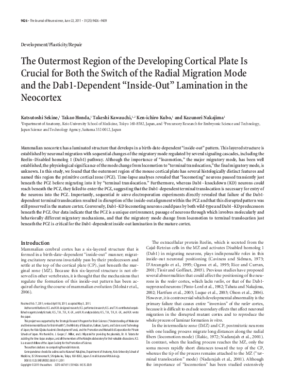 (PDF) The Outermost Region of the Developing Cortical Plate Is Crucial ...