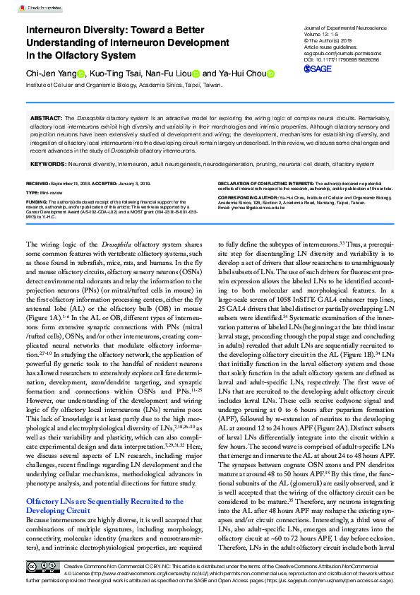 (PDF) Interneuron Diversity: Toward a Better Understanding of ...