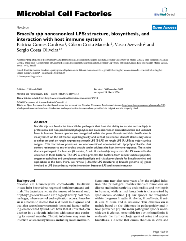 (PDF) Brucella spp noncanonical LPS: structure, biosynthesis, and ...