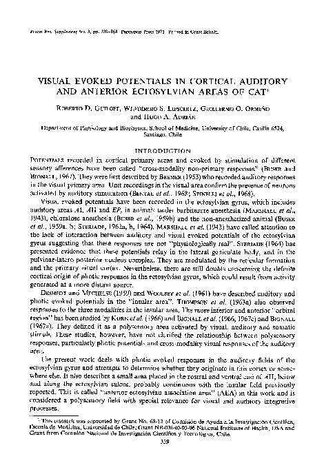 (PDF) Visual evoked potentials in cortical auditory and anterior ...