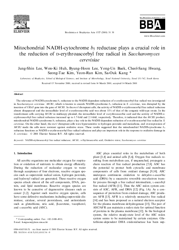 (PDF) Mitochondrial NADH-cytochrome b5 reductase plays a crucial role ...
