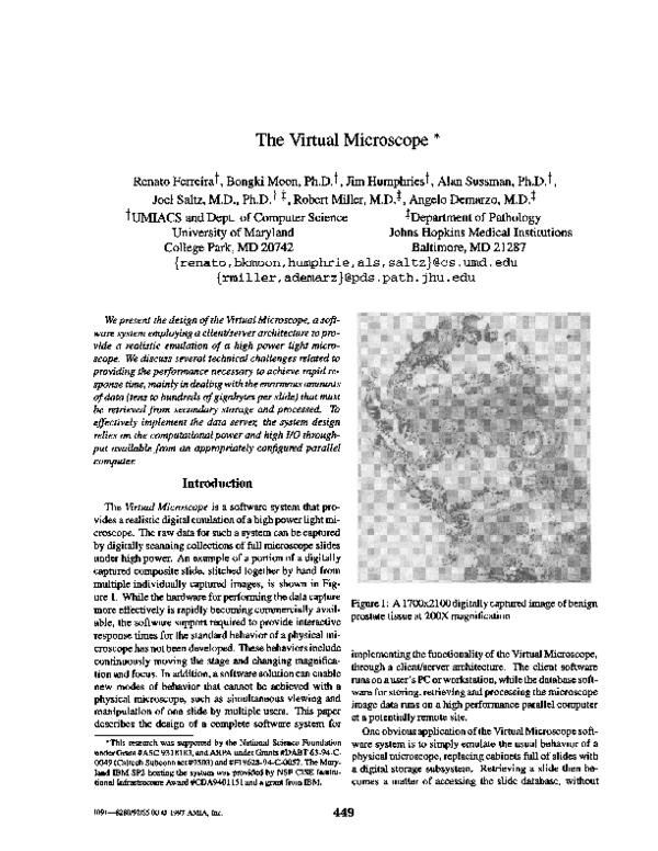 (PDF) The Virtual Microscope
