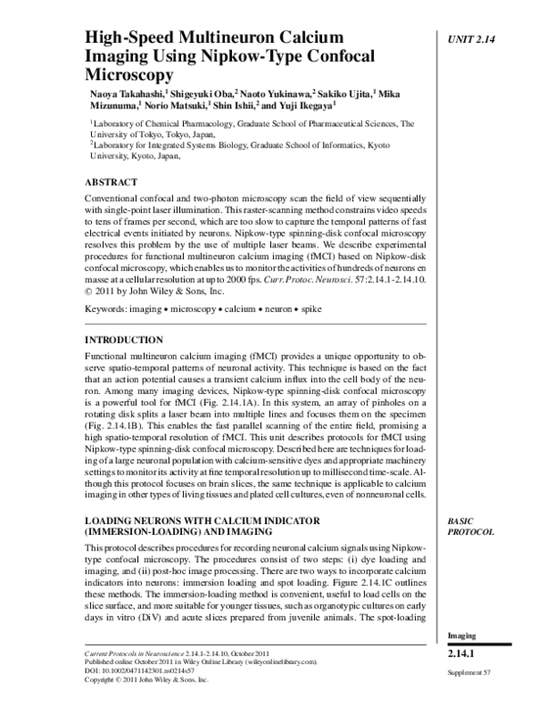 (PDF) High-speed multineuron calcium imaging using Nipkow-type confocal ...