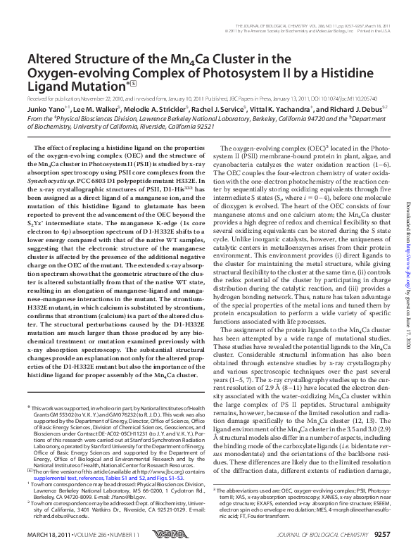(PDF) Altered Structure of the Mn4Ca Cluster in the Oxygen-evolving Complex of Photosystem II by ...