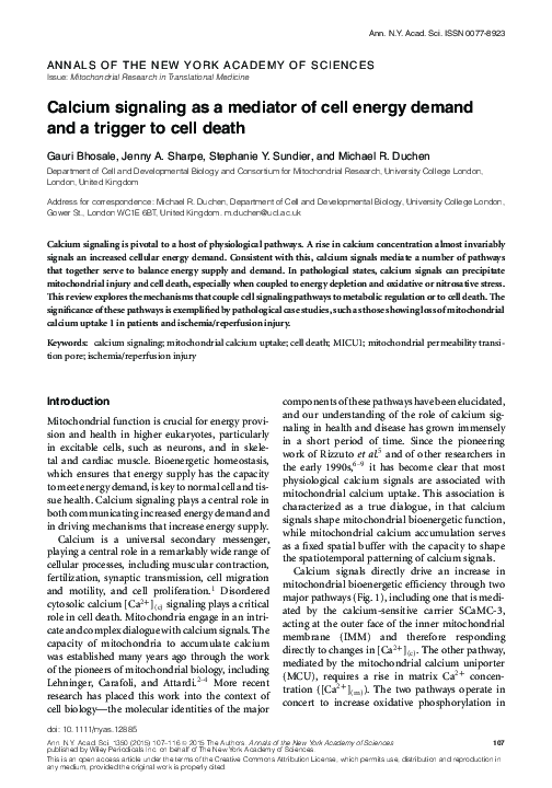 (PDF) Calcium signaling as a mediator of cell energy demand and a ...