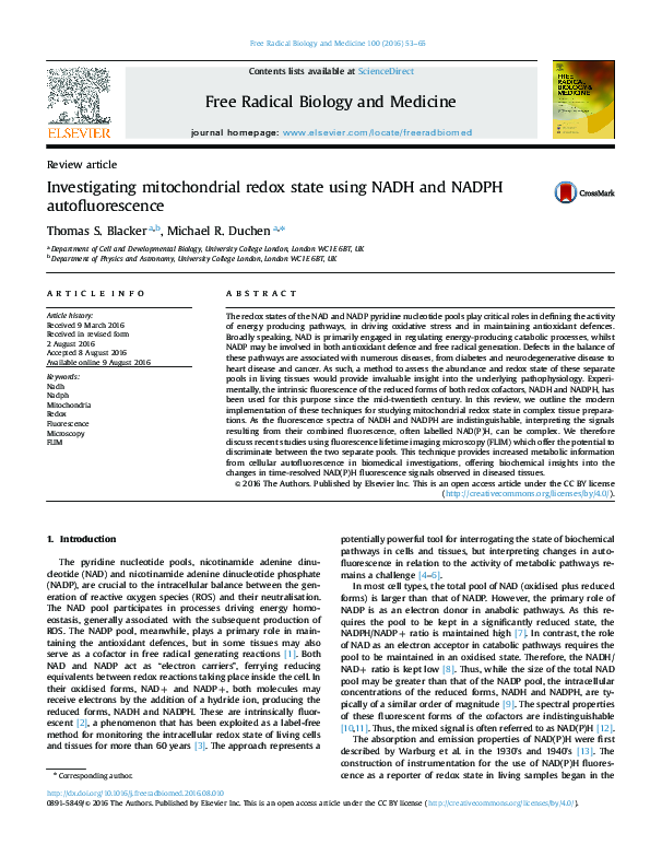(PDF) Investigating mitochondrial redox state using NADH and NADPH ...