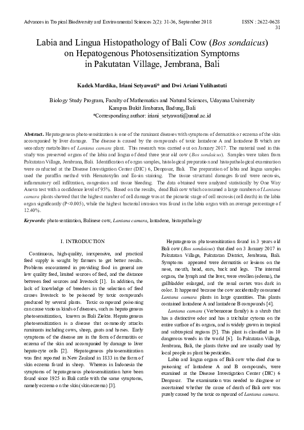 (PDF) Labia and Lingua Histopathology of Bali Cow (Bos sondaicus) on ...