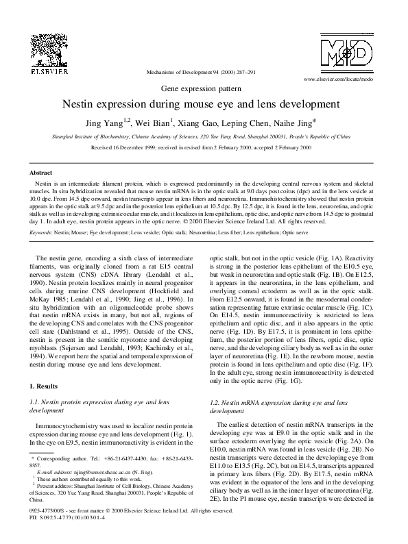(PDF) Nestin expression during mouse eye and lens development