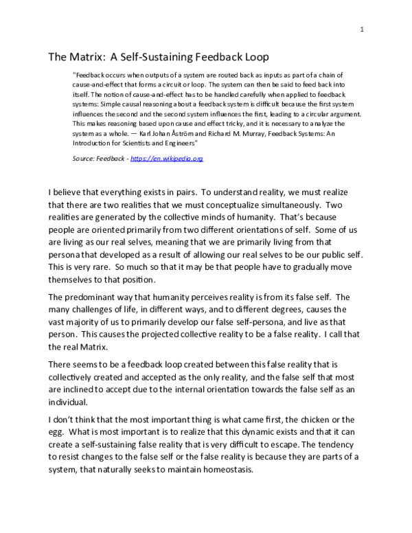 (DOC) The Matrix: A Self-Sustaining Feedback Loop