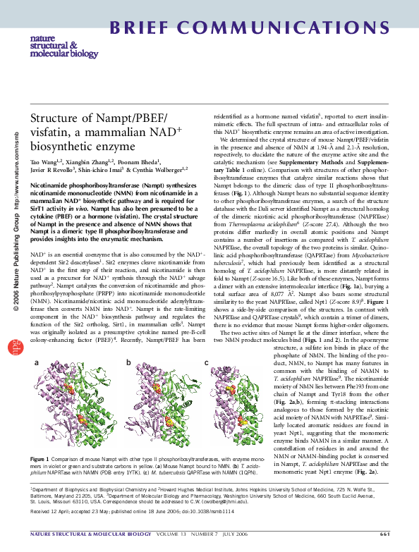(PDF) Structure of Nampt/PBEF/visfatin, a mammalian NAD+ biosynthetic ...