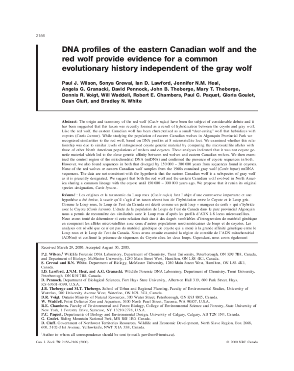 (PDF) DNA profiles of the eastern Canadian wolf and the red wolf ...