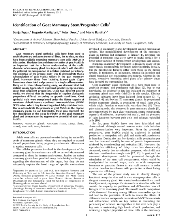 (PDF) Identification of Goat Mammary Stem/Progenitor Cells