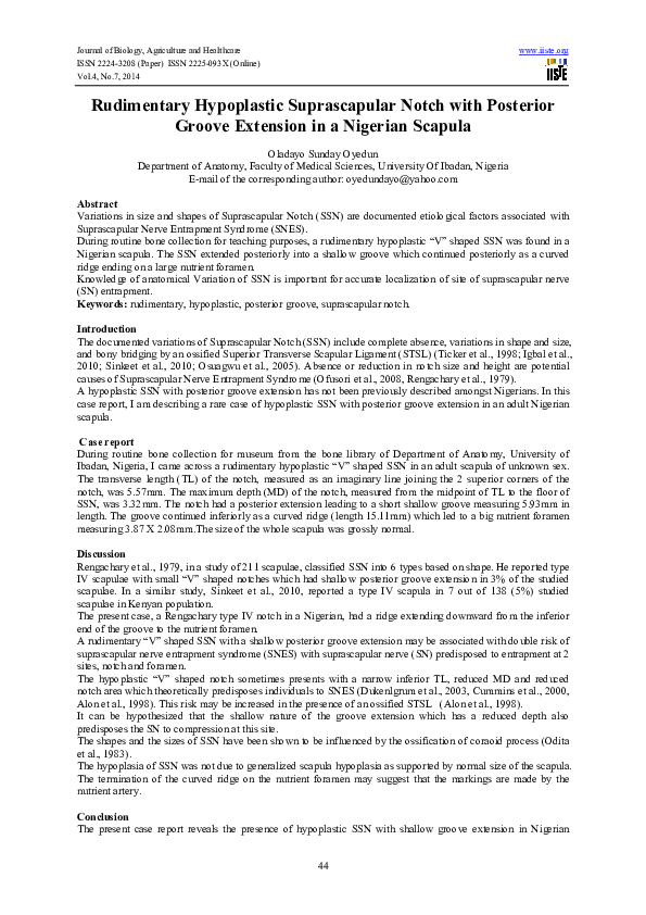 (PDF) Rudimentary Hypoplastic Suprascapular Notch with Posterior Groove ...