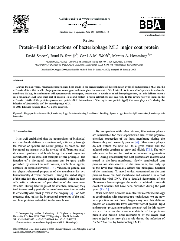 (PDF) Protein–lipid interactions of bacteriophage M13 major coat protein