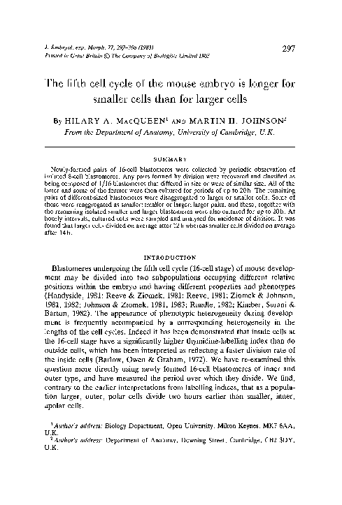 (PDF) The fifth cell cycle of the mouse embryo is longer for smaller ...