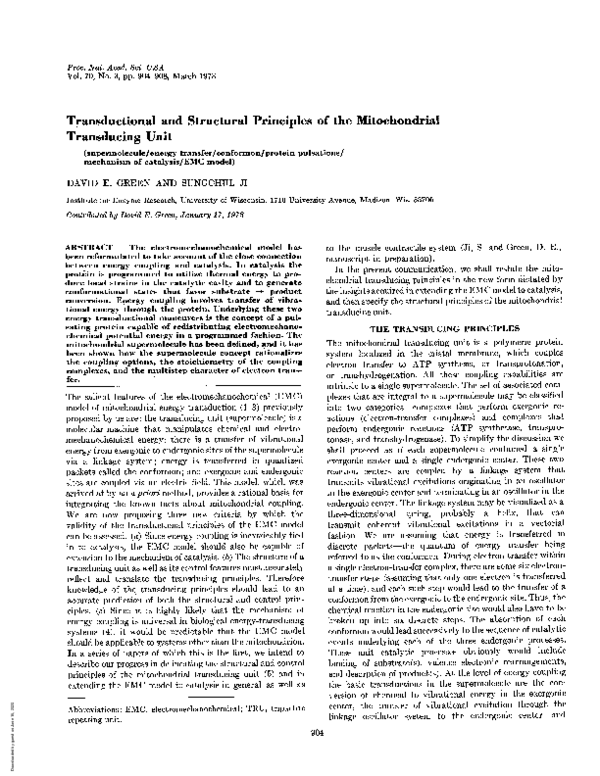 (PDF) Transductional and Structural Principles of the Mitochondrial ...