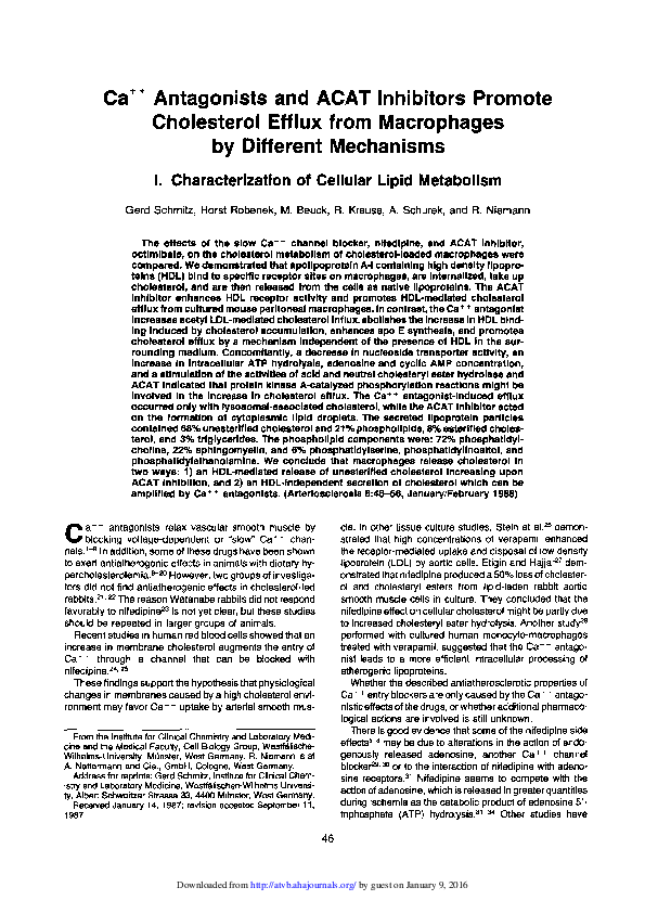 (PDF) Ca++ antagonists and ACAT inhibitors promote cholesterol efflux from macrophages by ...