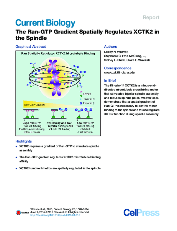 (PDF) The Ran-GTP Gradient Spatially Regulates XCTK2 in the Spindle