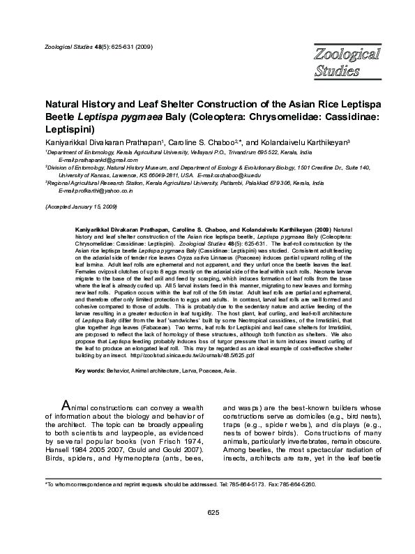 (PDF) Natural History and Leaf Shelter Construction of the Asian Rice ...