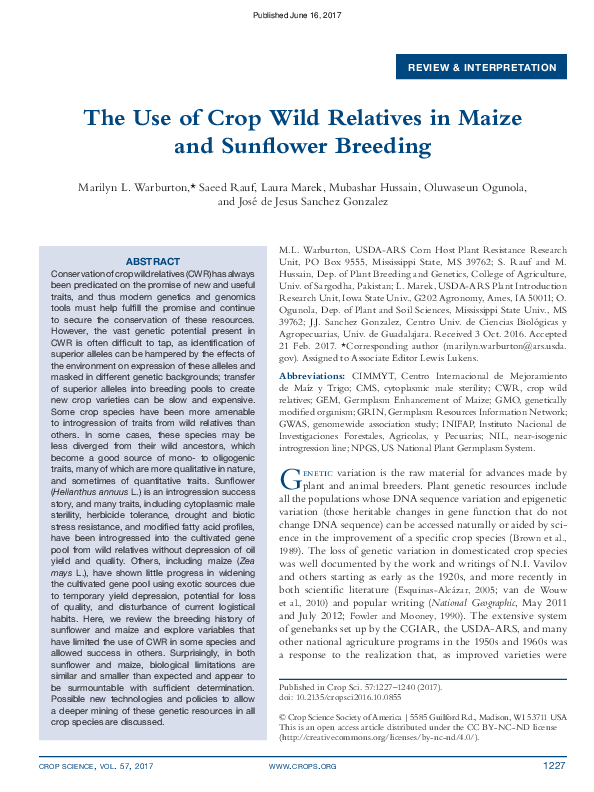 (PDF) The Use of Crop Wild Relatives in Maize and Sunflower Breeding