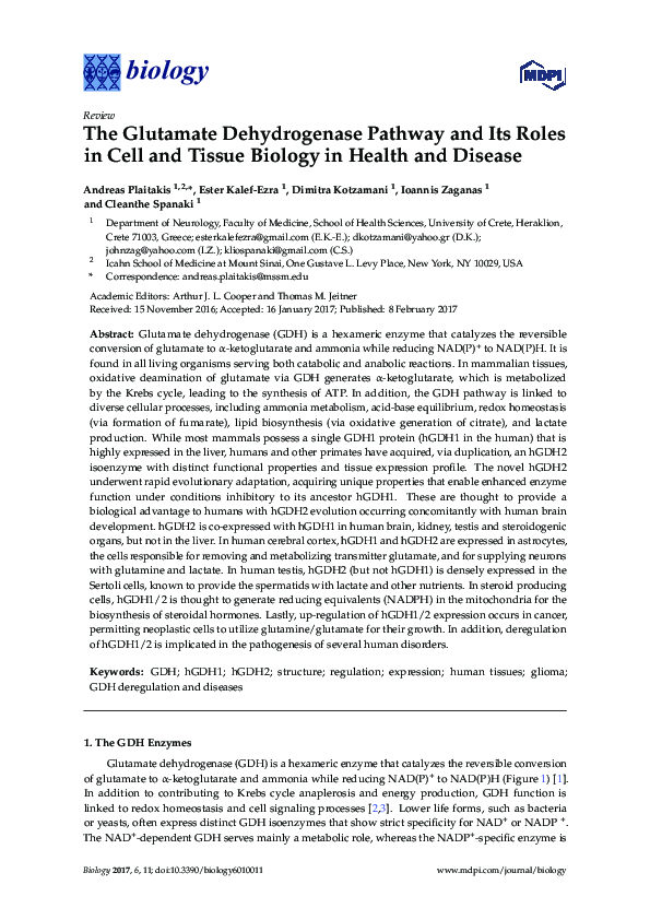 (PDF) The Glutamate Dehydrogenase Pathway and Its Roles in Cell and ...