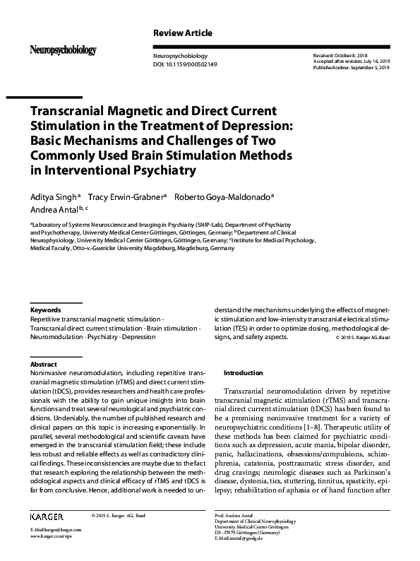 (PDF) Transcranial magnetic and direct current stimulation of the visual cortex