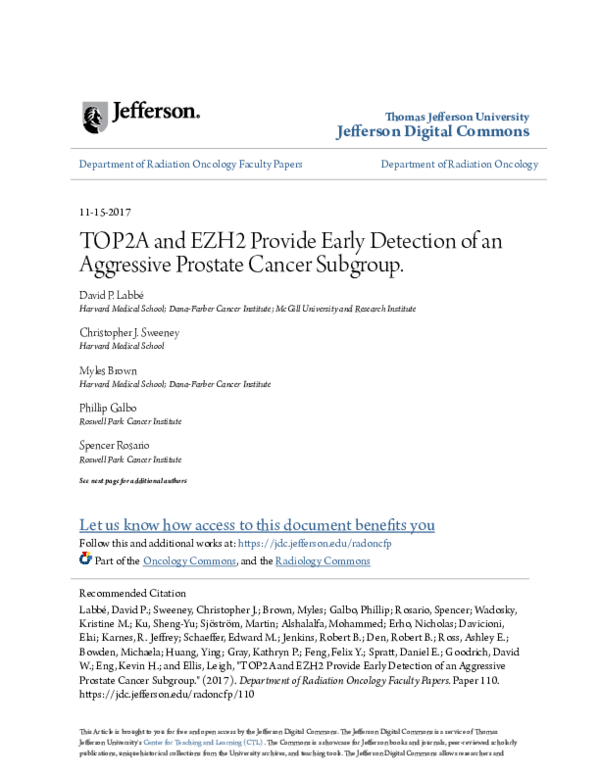 (PDF) TOP2A and EZH2 provide early detection of an aggressive prostate cancer subgroup