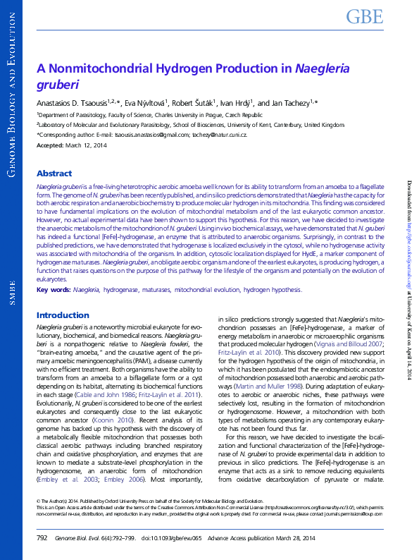(PDF) A Nonmitochondrial Hydrogen Production in Naegleria gruberi