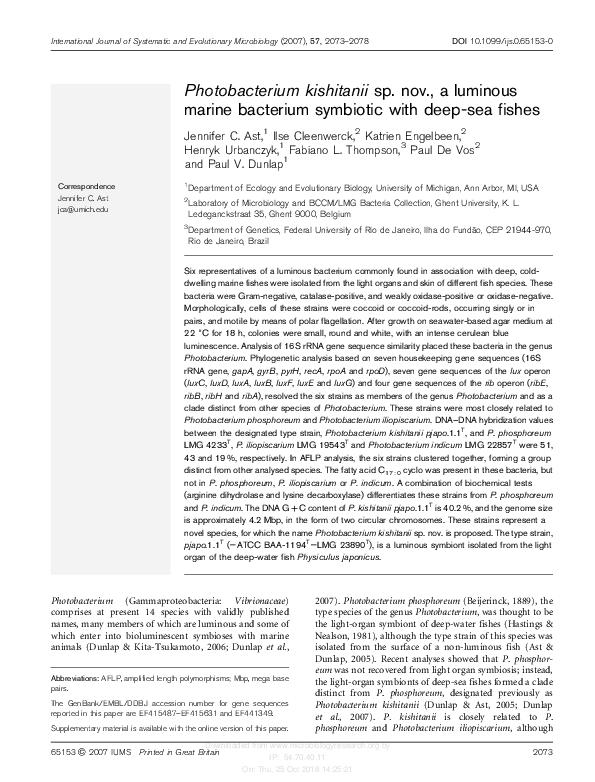 (PDF) Photobacterium kishitanii sp. nov., a luminous marine bacterium ...