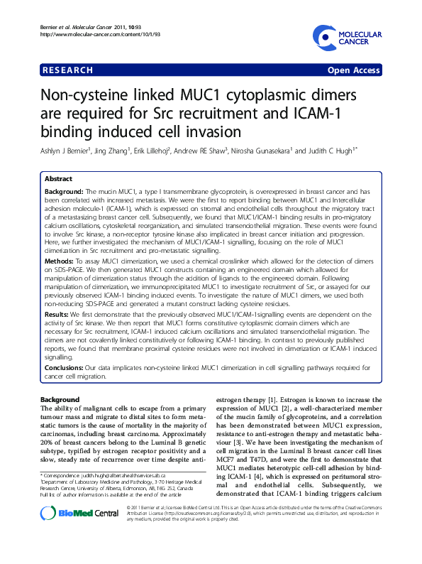 (PDF) Non-cysteine linked MUC1 cytoplasmic dimers are required for Src ...