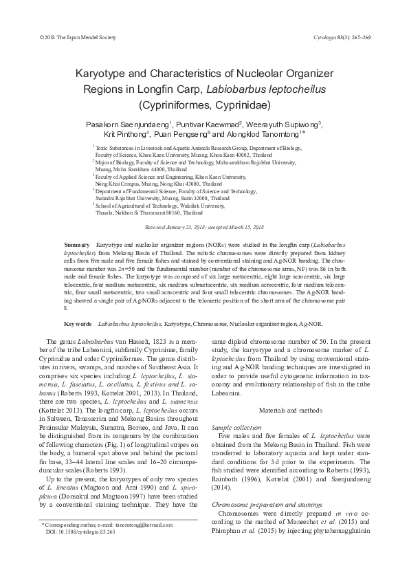 (PDF) Karyotype and Characteristics of Nucleolar Organizer Regions in ...