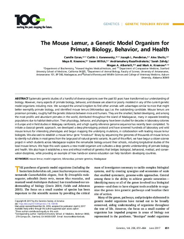(PDF) The Mouse Lemur, a Genetic Model Organism for Primate Biology ...