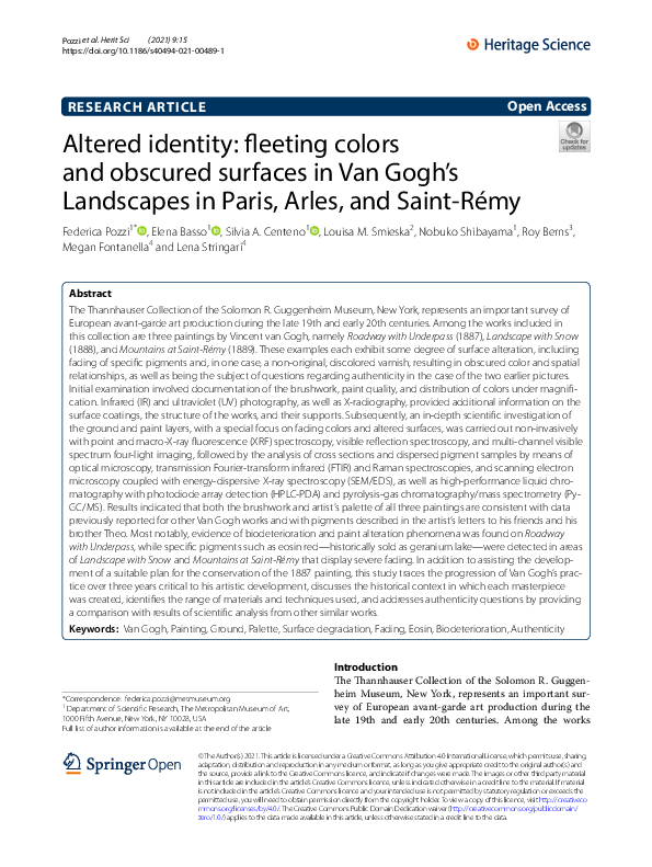 (PDF) Altered identity: fleeting colors and obscured surfaces in Van ...