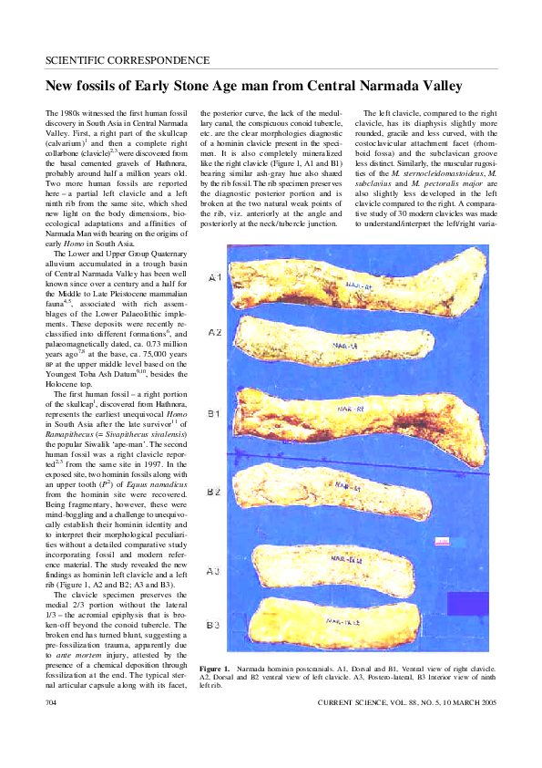 (PDF) New fossils of early stone age man from central Narmada valley