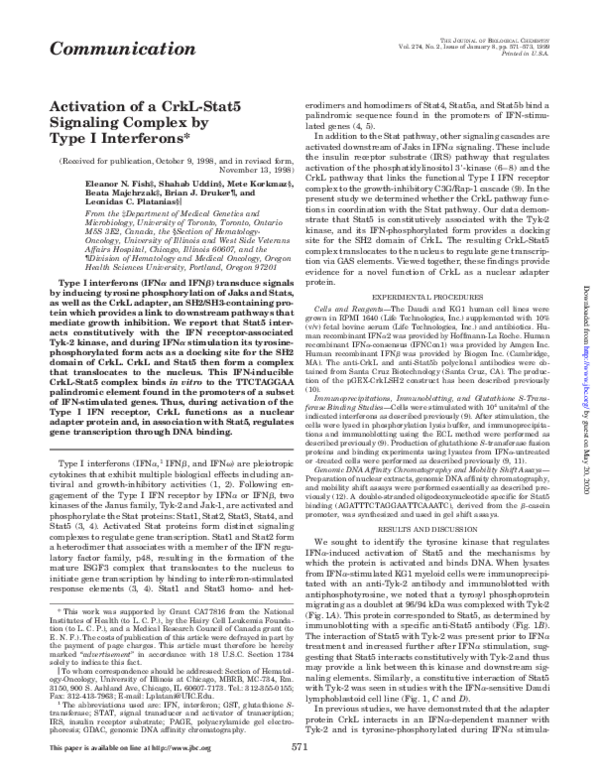 (PDF) Activation of a CrkL-Stat5 Signaling Complex by Type I Interferons