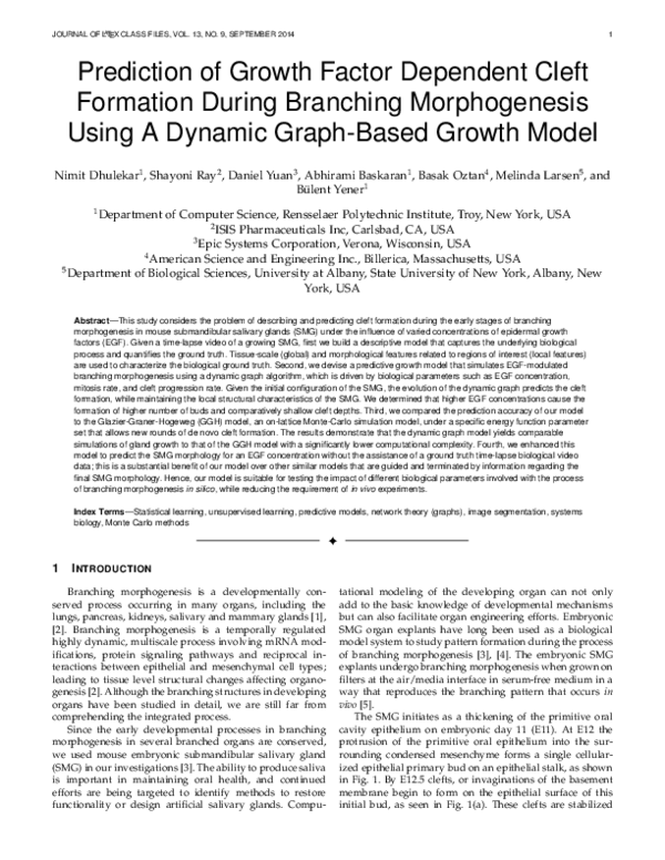 (PDF) Prediction of Growth Factor Dependent Cleft Formation During Branching Morphogenesis Using ...