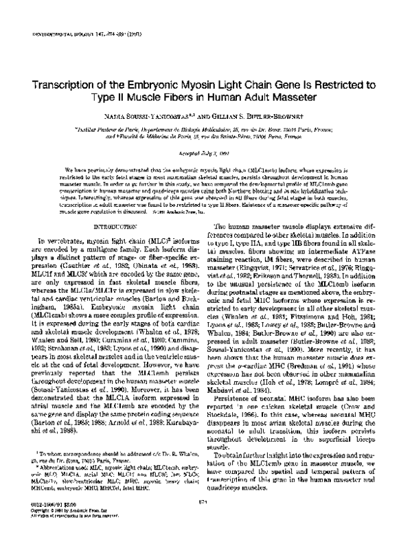 (PDF) Transcription of the embryonic myosin light chain gene is ...