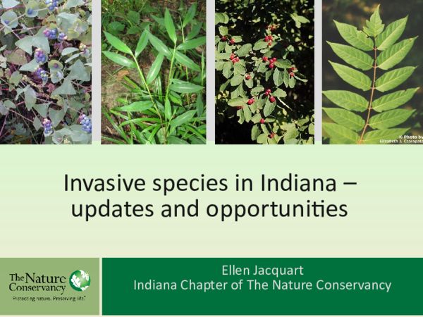 (PPT) Invasive species in Indiana - updates and opportunities