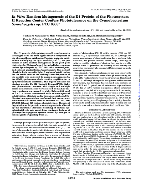 (PDF) In Vitro Random Mutagenesis of the D1 Protein of the Photosystem II Reaction Center ...