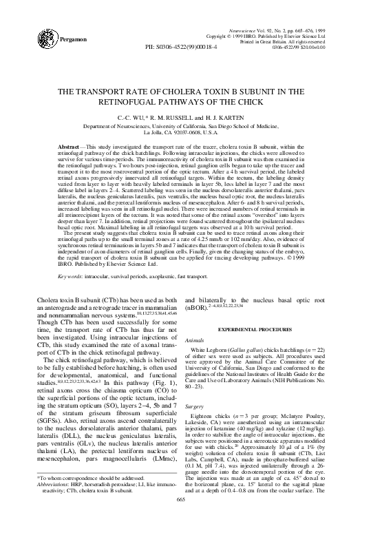 (PDF) The transport rate of cholera toxin B subunit in the retinofugal ...