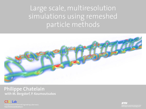 (PDF) Large scale, multiresolution simulations using remeshed particle methods