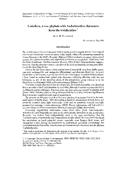 (PDF) Loricifera, a new phylum with Aschelminthes characters from the ...