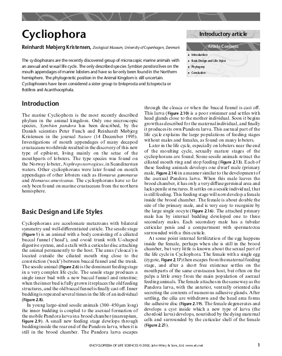 (PDF) Cycliophora