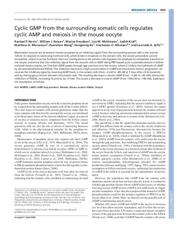 (PDF) Cyclic GMP from the surrounding somatic cells regulates cyclic ...