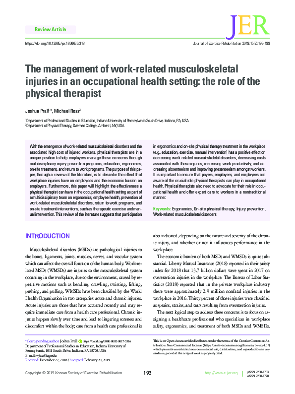 (PDF) The management of work-related musculoskeletal injuries in an ...