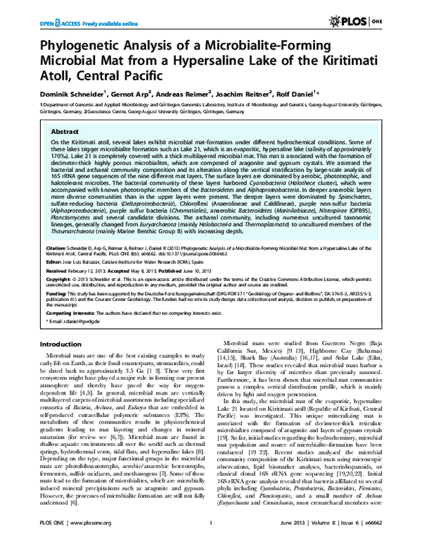 (PDF) Phylogenetic Analysis of a Microbialite-Forming Microbial Mat from a Hypersaline Lake of ...