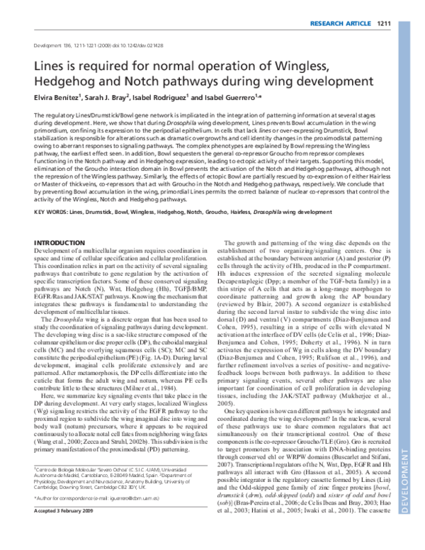 (PDF) Lines is required for normal operation of Wingless, Hedgehog and ...
